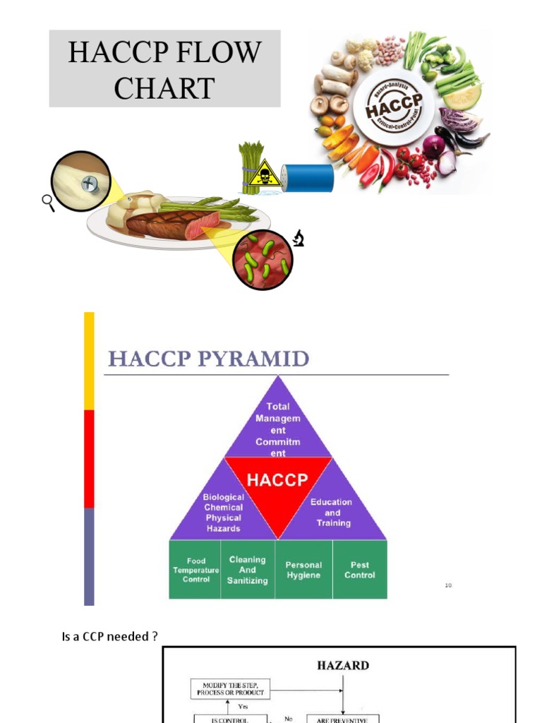 HACCP Flow Chart | PDF