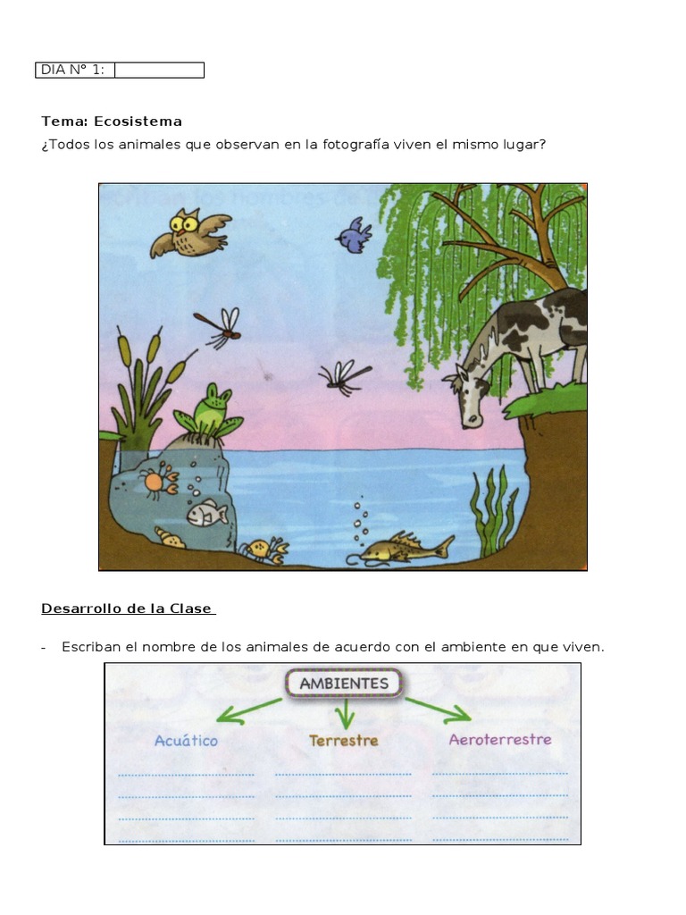 Actividades sobre el ciclo de vida animal | PDF | Artes del Lenguaje y ...
