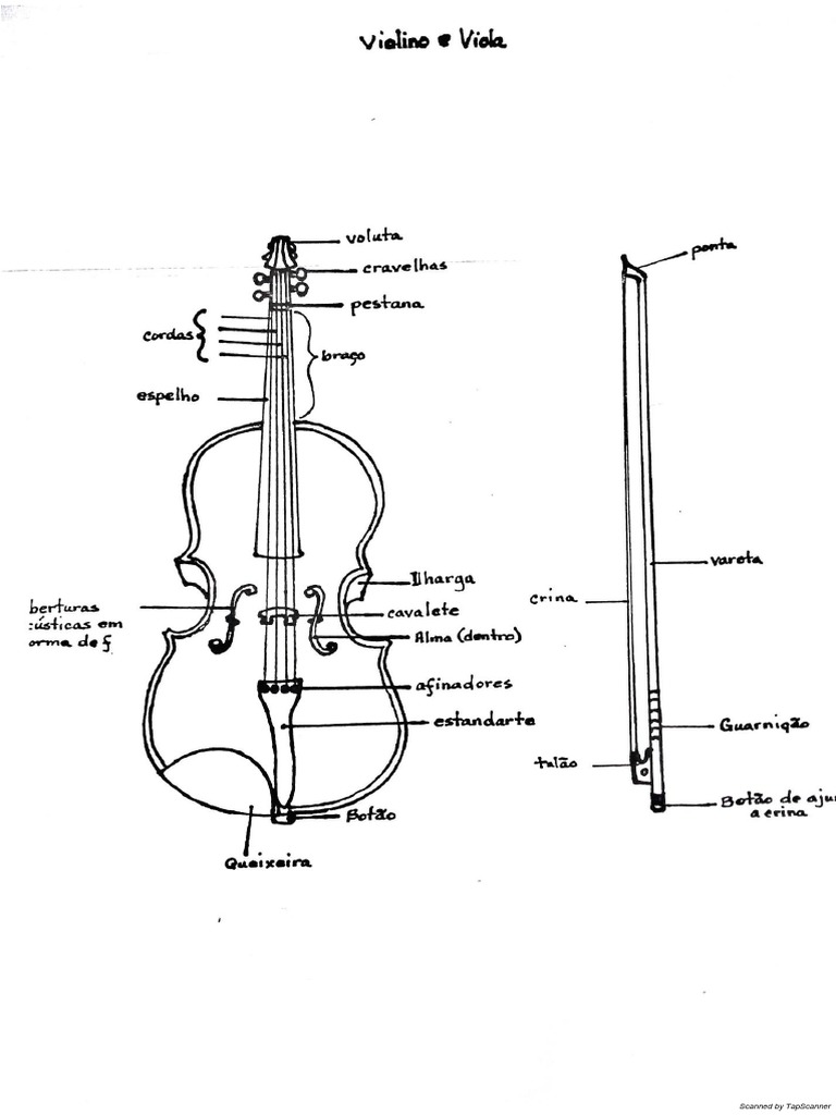 Partes Do Violino | PDF