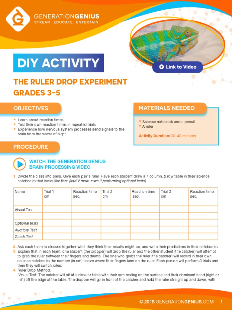 Diy Activity: The Ruler Drop Experiment Grades 3-5 | PDF | Mental ...