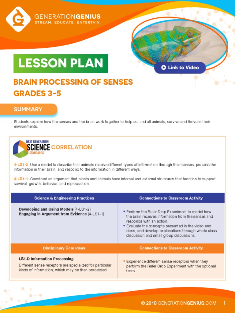 Senses and The Brain Lesson Plan GG | Download Free PDF | Senses ...