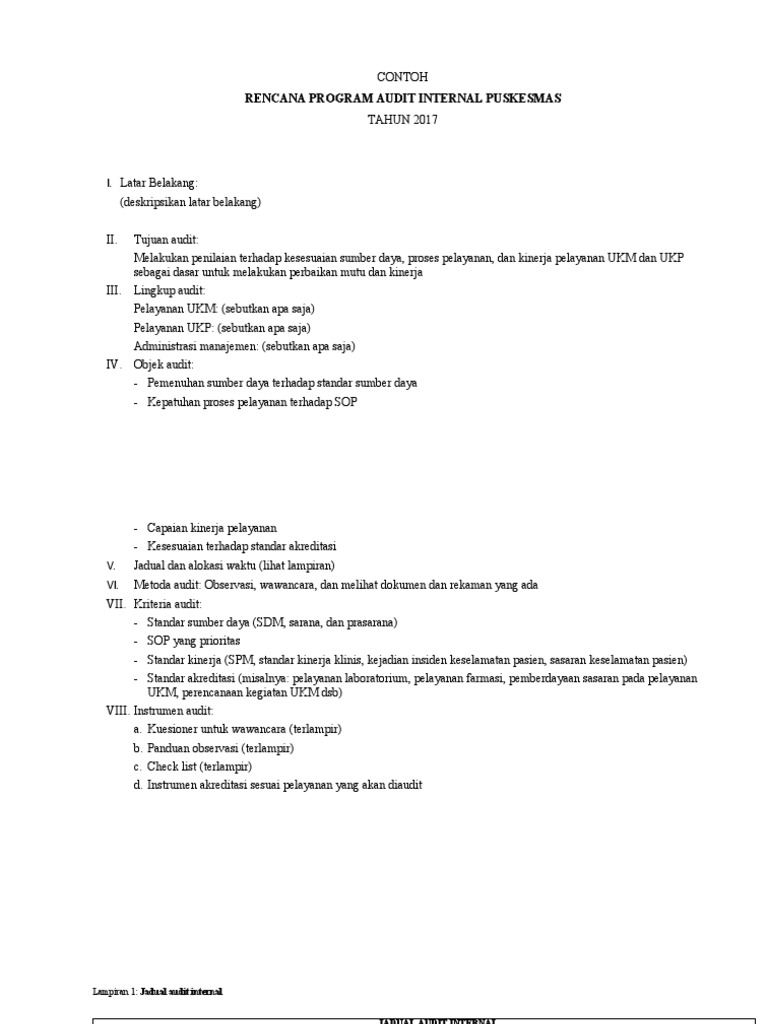 6.contoh Laporan Audit, Lanjut Simulasi RTM | PDF