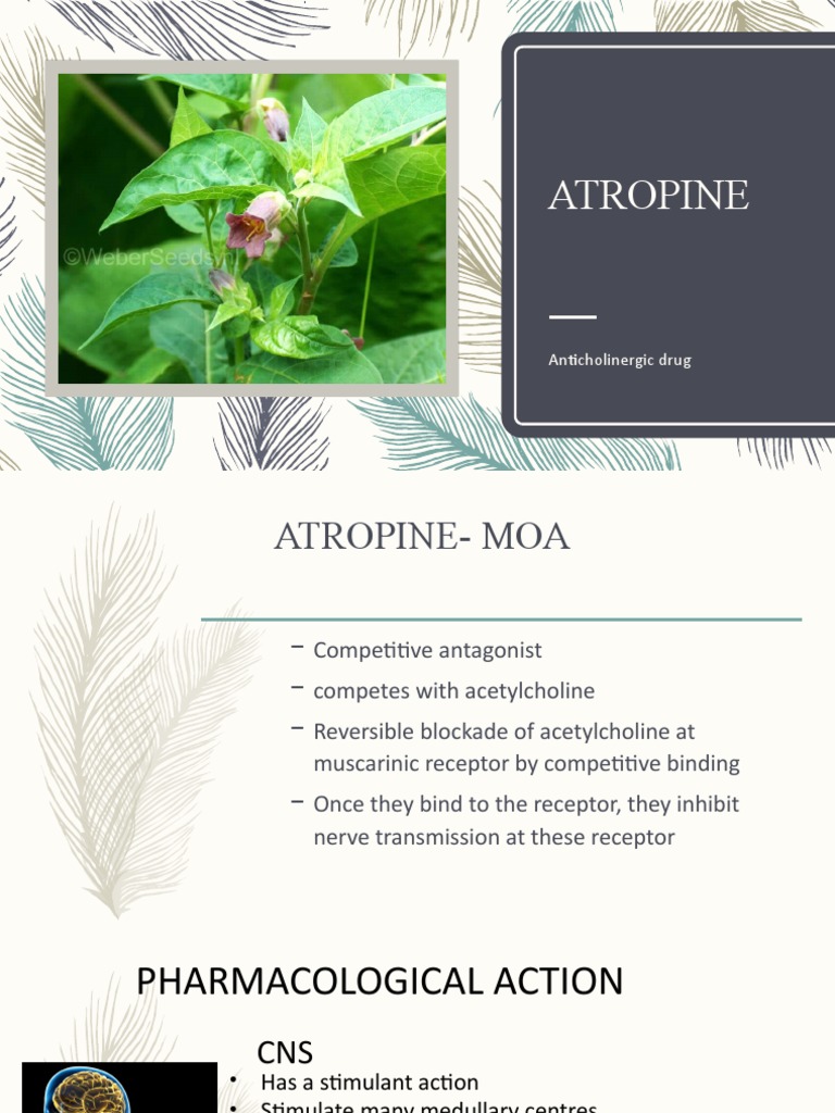 Atropine: Anticholinergic Drug | PDF