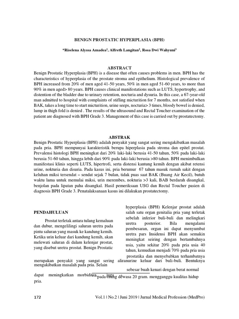 Jurnal BPH | PDF