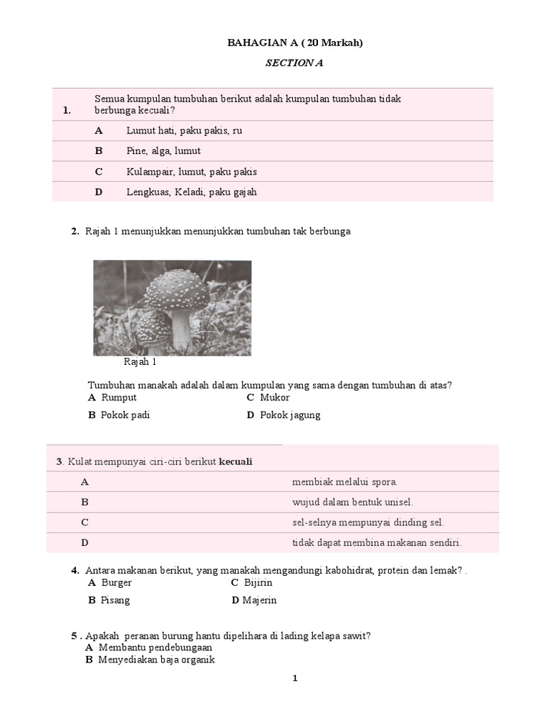 Sains Form 2 2019-Edit 2 | PDF