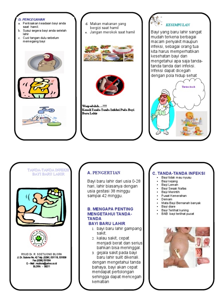 Leaflet Infeksi Bayi | PDF