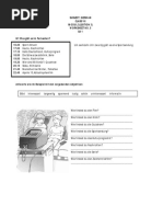 Hallo Deutsch 3 AB Modul-5 | PDF