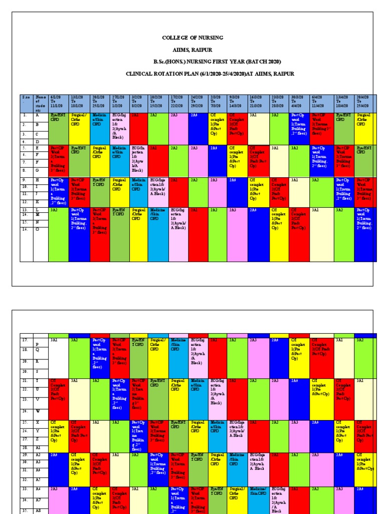 Clinical Rotation Plan BSC 1ST Year | PDF | Disabled Sports | Sports