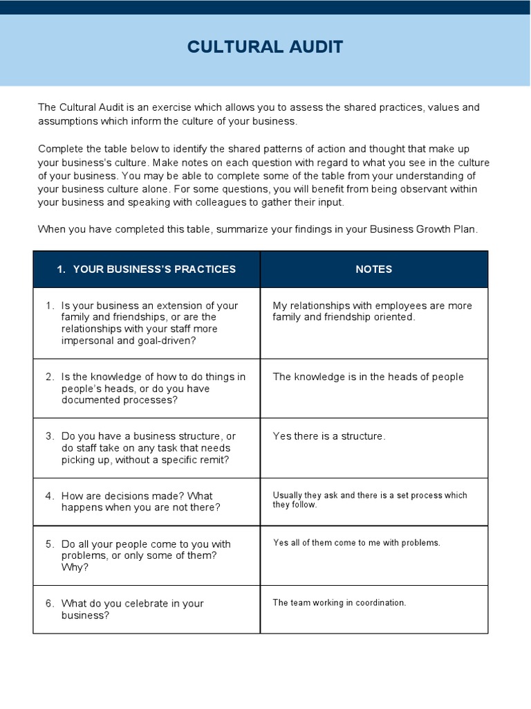 Cultural Audit: 1. Your Business'S Practices Notes | PDF | Value ...