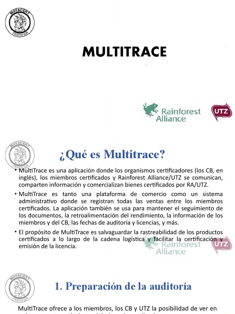 Multitrace | PDF | Auditoría | Contabilidad y Auditoria