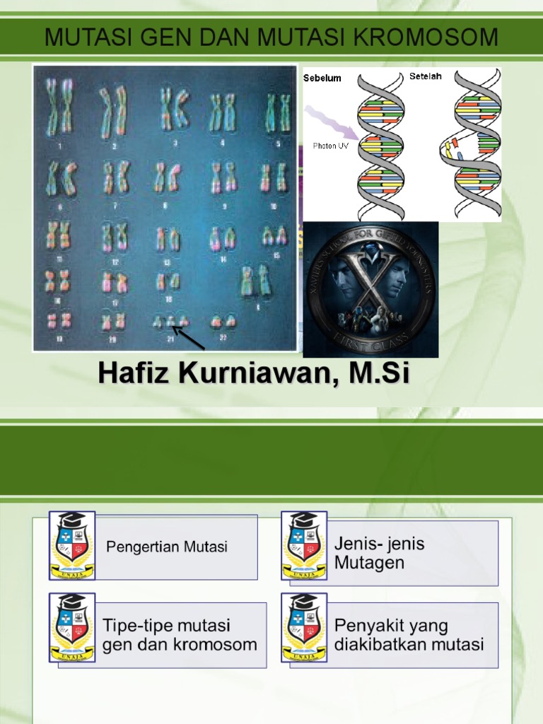 Meeting II-Mutasi Gen Dan Kromosom | PDF