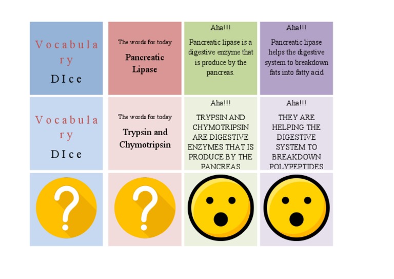 Vocabulary Cube | PDF
