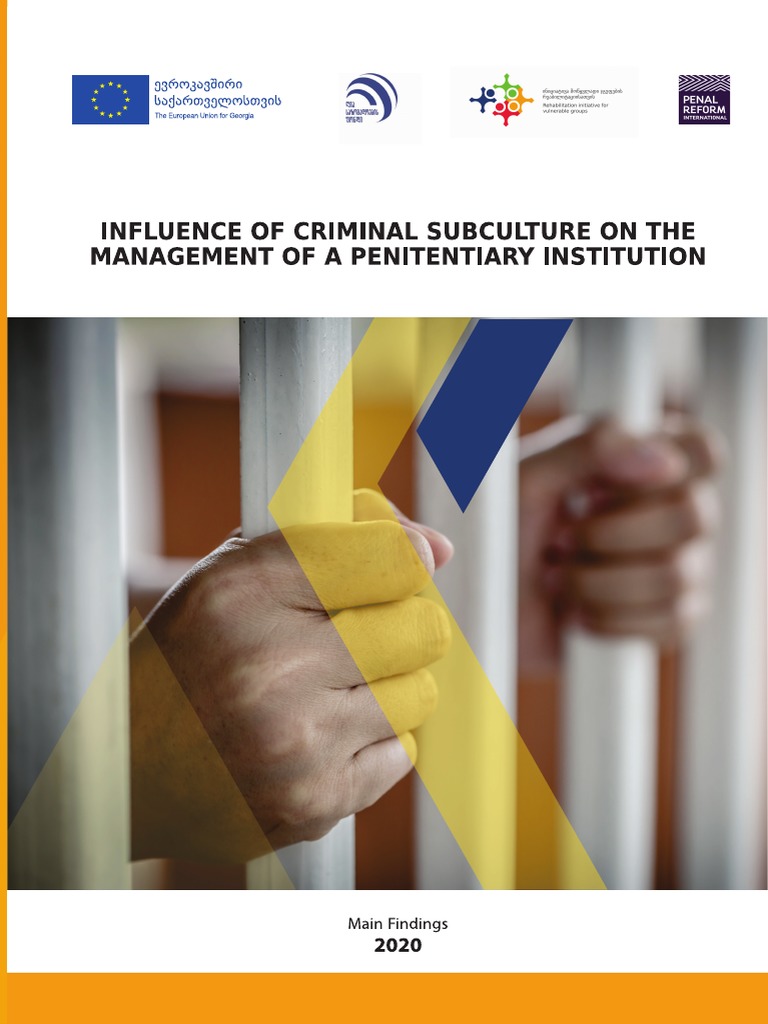 Criminal Subculture in Penitentiary Management | PDF | Prison | Violence