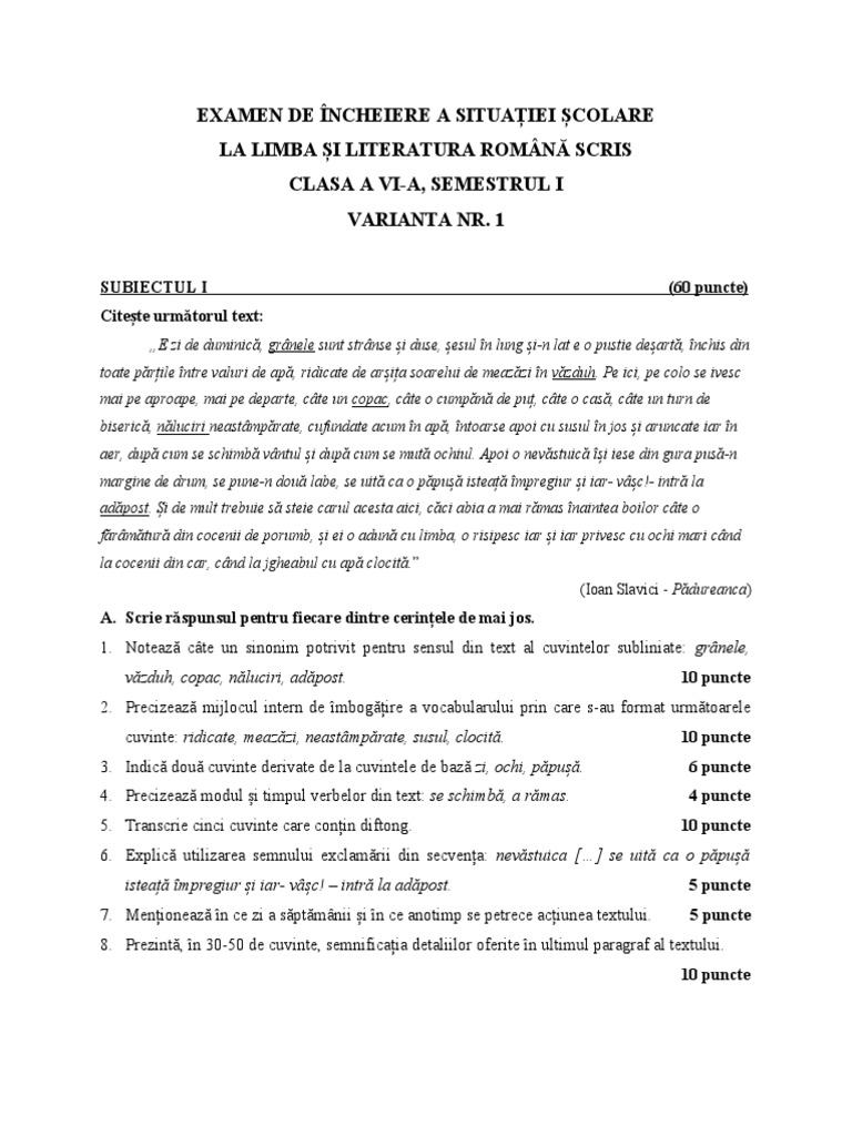 Examen Scris Si Oral VI | PDF
