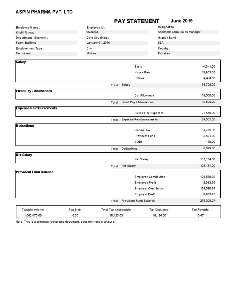 Pay Statement: June 2019 Aspin Pharma Pvt. LTD | PDF | Expense | Tax ...