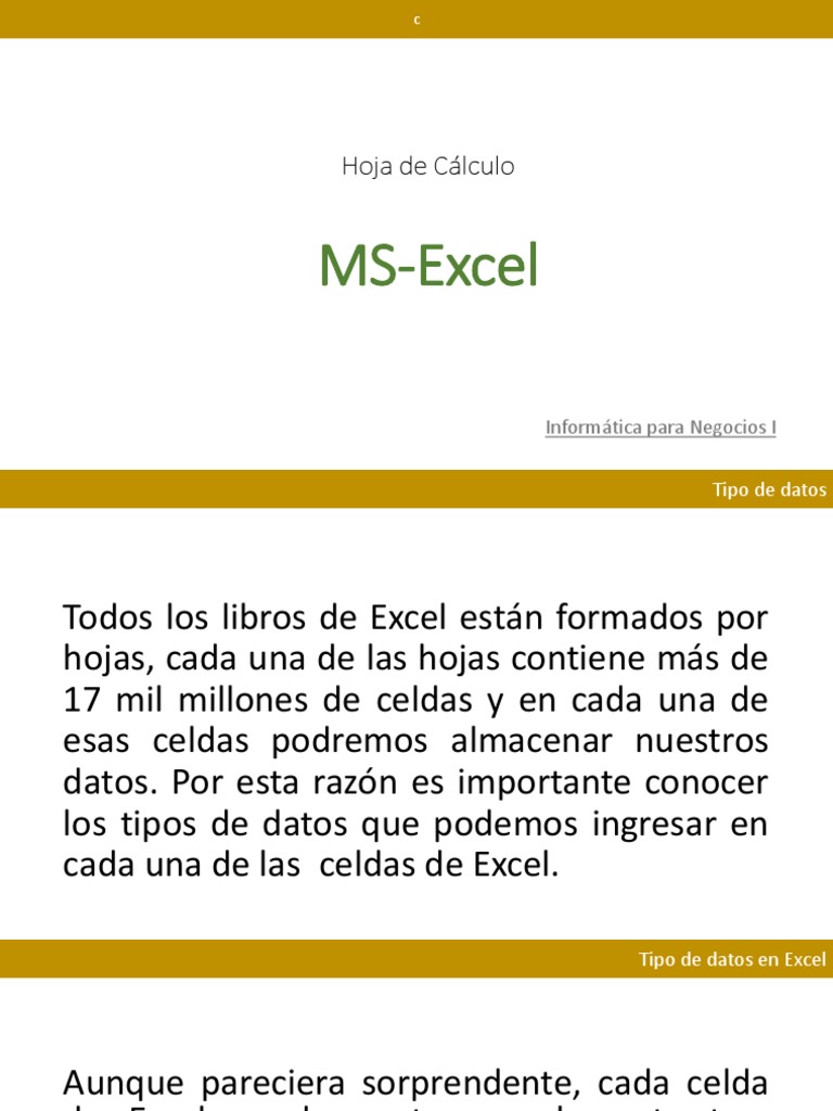Introducción A Excel PDF | PDF | Microsoft Excel | Tipo de datos