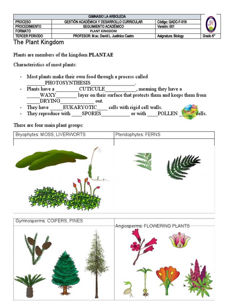 Kingdom Plantae Worksheet