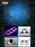 Contextualized DLP Week 5 Day 2 | PDF | Magnetism | Magnet