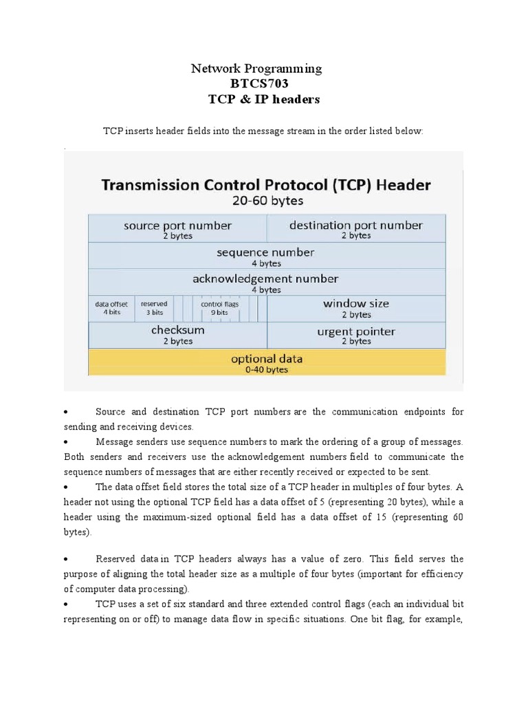 Network Programming BTCS703: TCP & IP Headers | Download Free PDF | Transmission Control ...