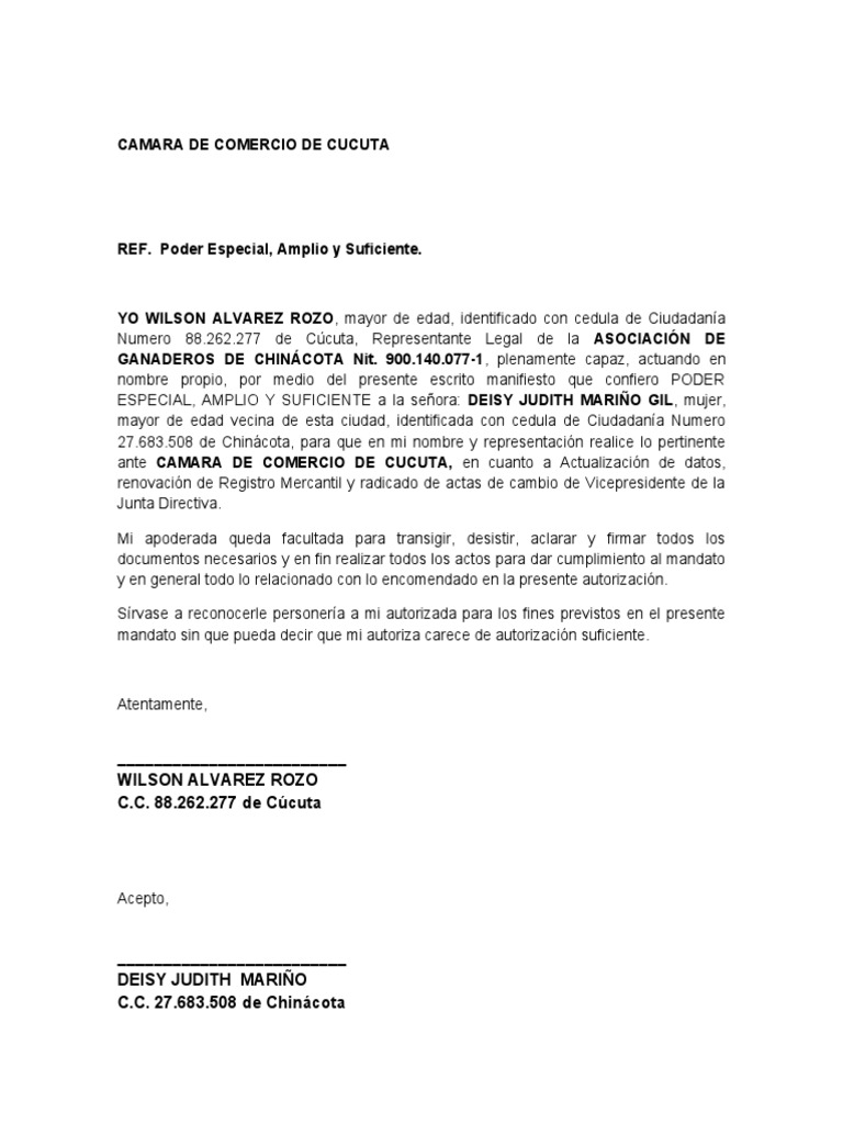 Poder Especial para Trámites Comerciales | PDF | Política | Derecho