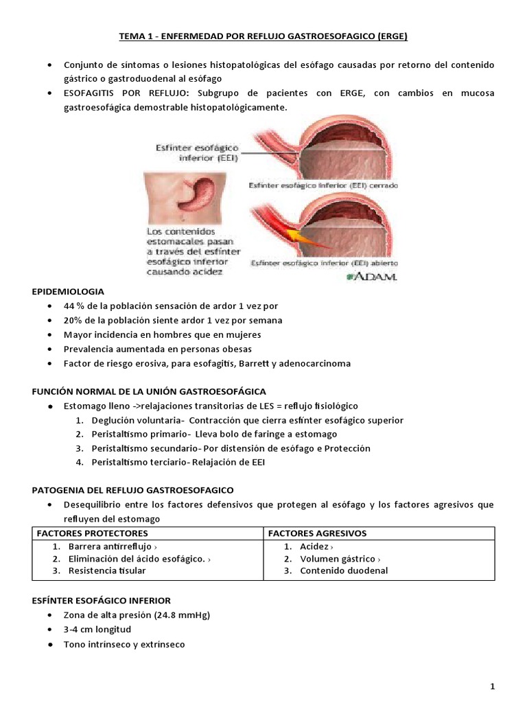 Tema 1 - Erge | PDF | La enfermedad por reflujo gastroesofágico | Gastroenterología