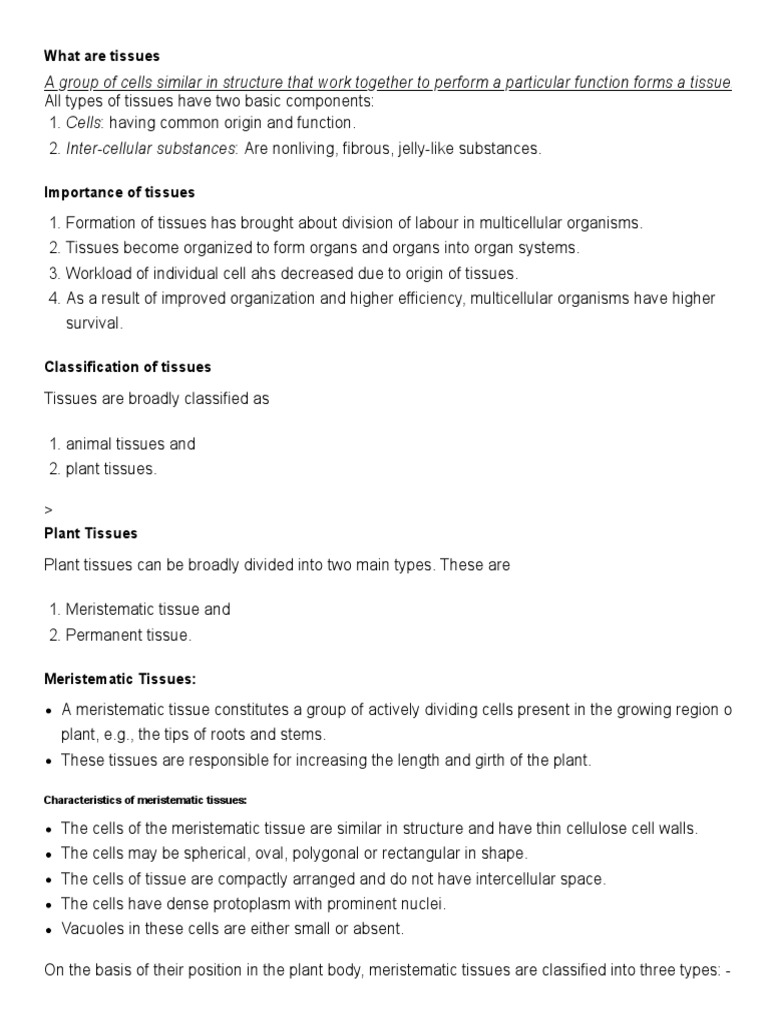 Detailed Tissues Class 9 Notes (NCERT Book Chapter 6) | Download Free ...