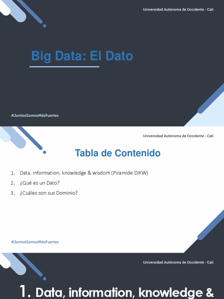 3-El Dato - Dominio | PDF | Almacén de datos | Big Data