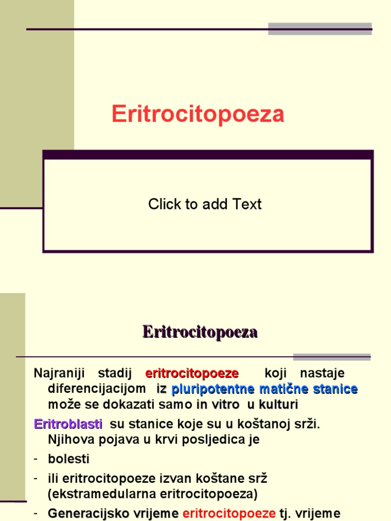 Eritropoeza | PDF
