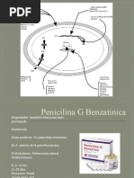 Filosofía de Ronald H. Roth | PDF | Ortodoncia | Odontología