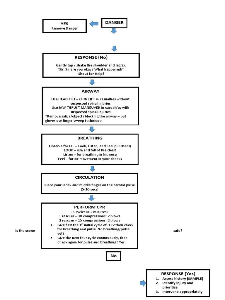 Is The Scene Safe | PDF | Physiology | Human Diseases And Disorders
