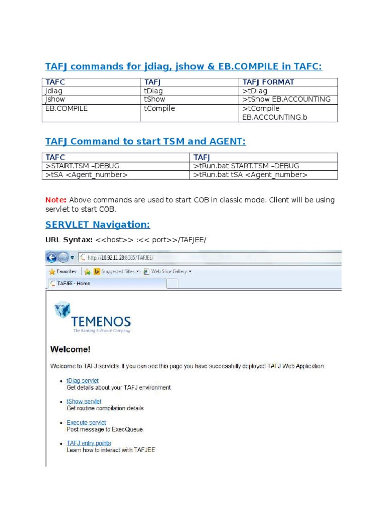 TAFJ Command Guide for TAFC Operations | PDF | Computer Architecture | Software Engineering
