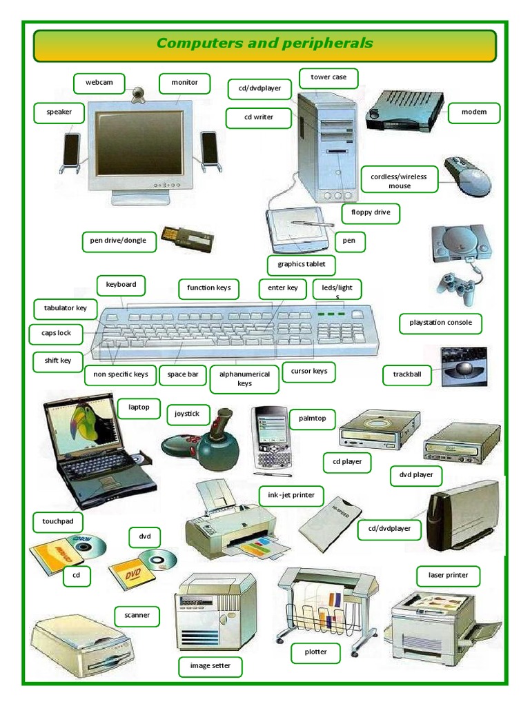 Computer Parts | PDF | Computer Keyboard | Personal Computing