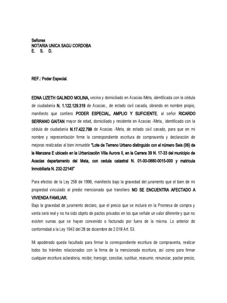 Poder Amplio y Suficiente | PDF