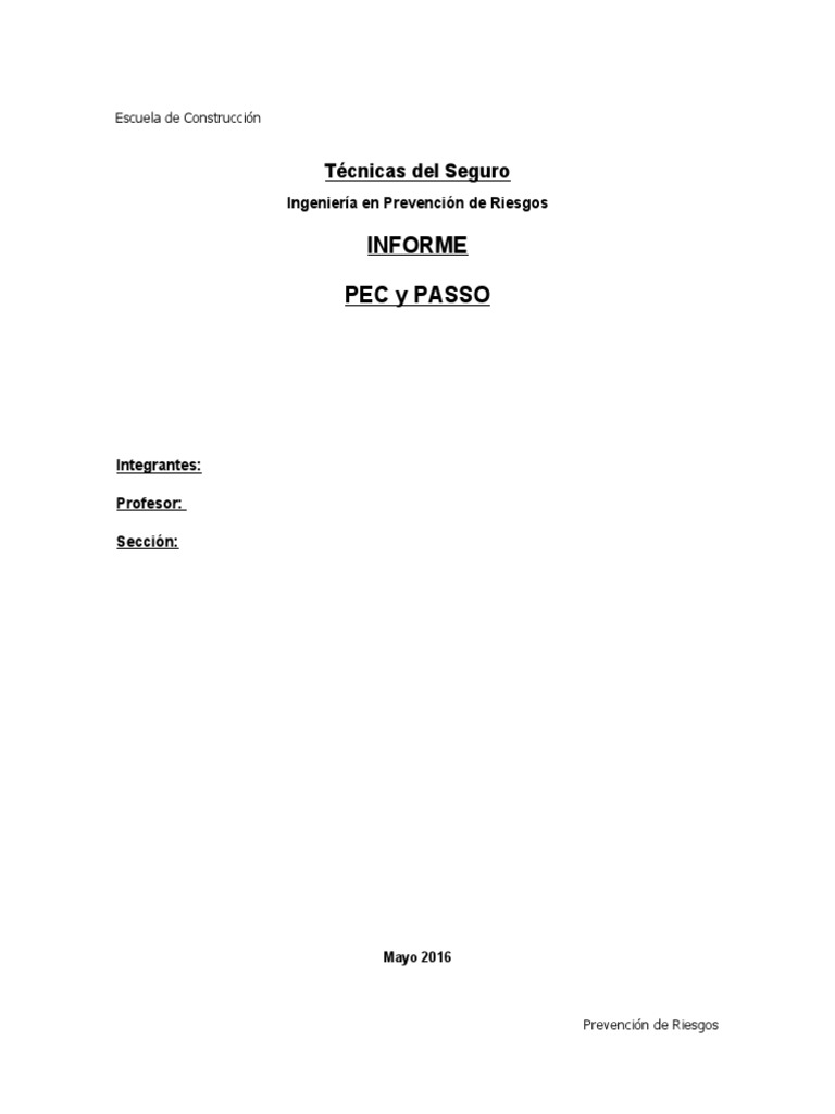 traBAJO INFORME PEC Y PASSO | PDF | Seguridad y salud ocupacional | Business