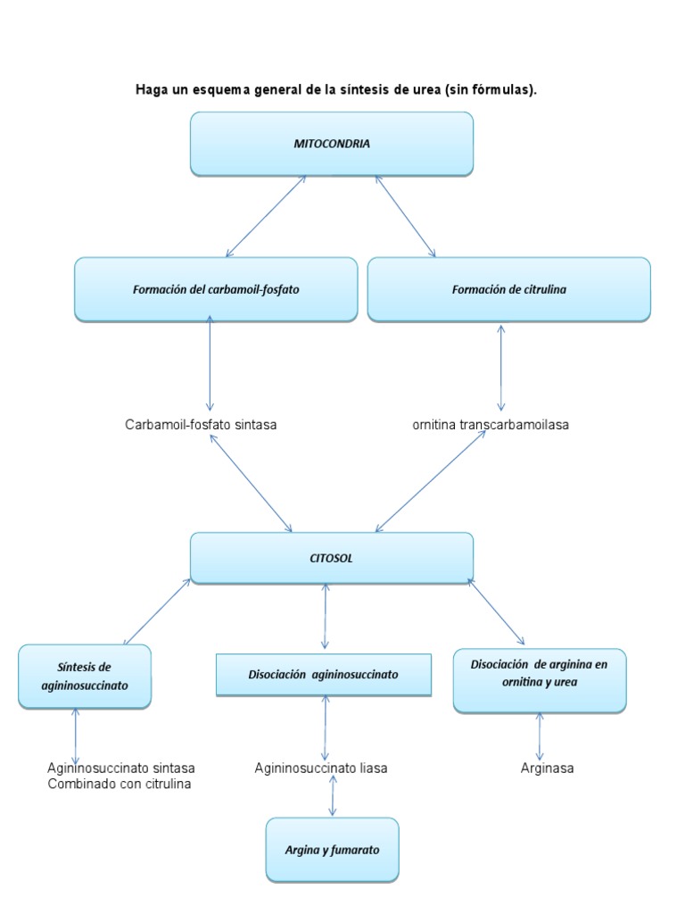 Esquema General de La Síntesis de Urea | PDF