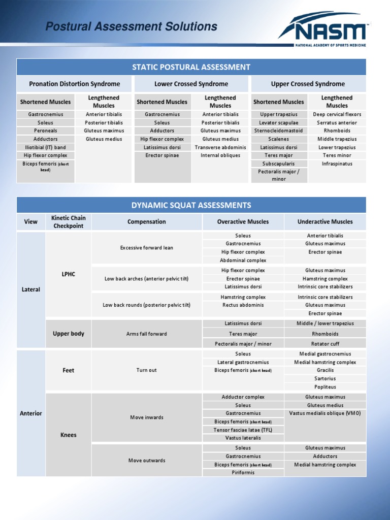 NASM-CPT Assessment Solutions Table | PDF | Pelvis | Anatomical Terms ...