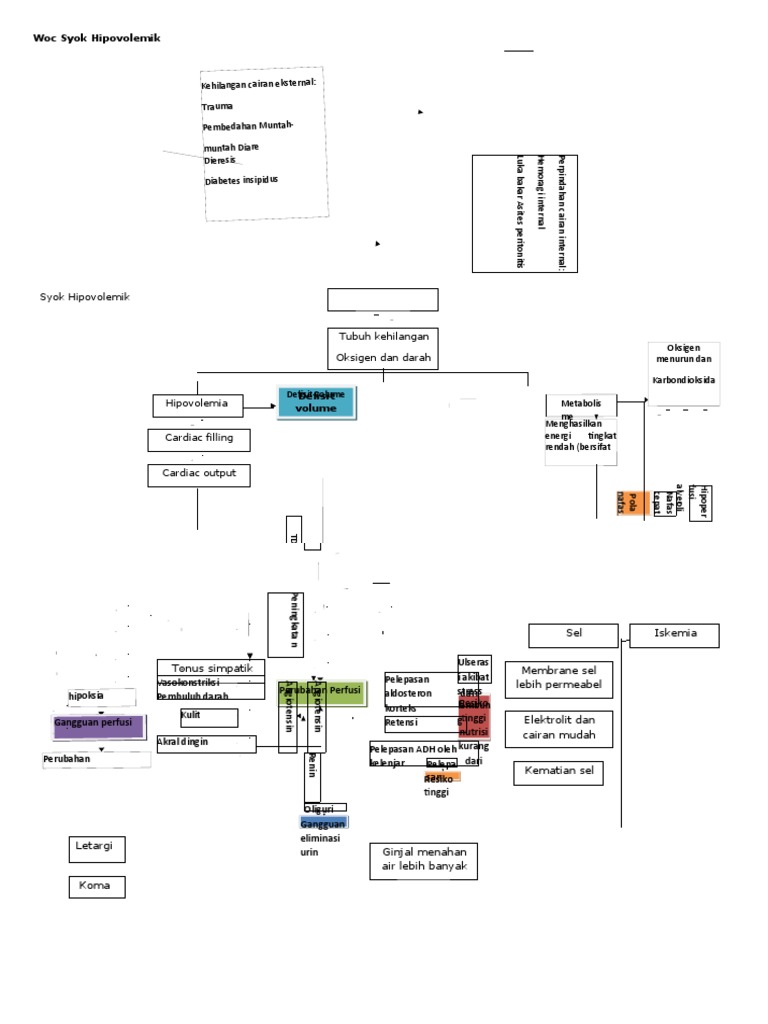 Woc Syok Hipovolemik | PDF