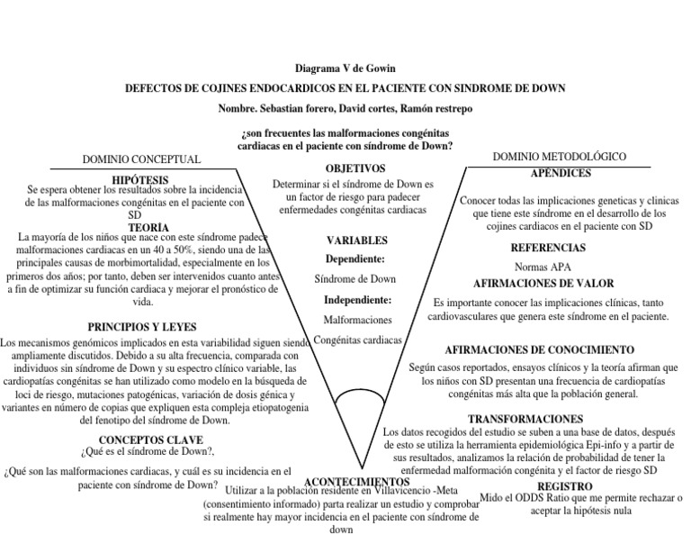 Diagrama V de Gowin SD Y CC PDF | PDF | Síndrome de Down | Genética