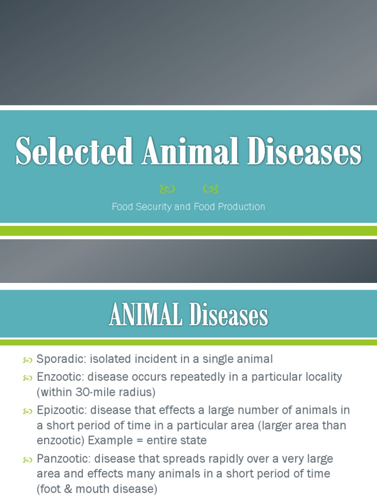 Animal Diseases | PDF | Infection | Cattle