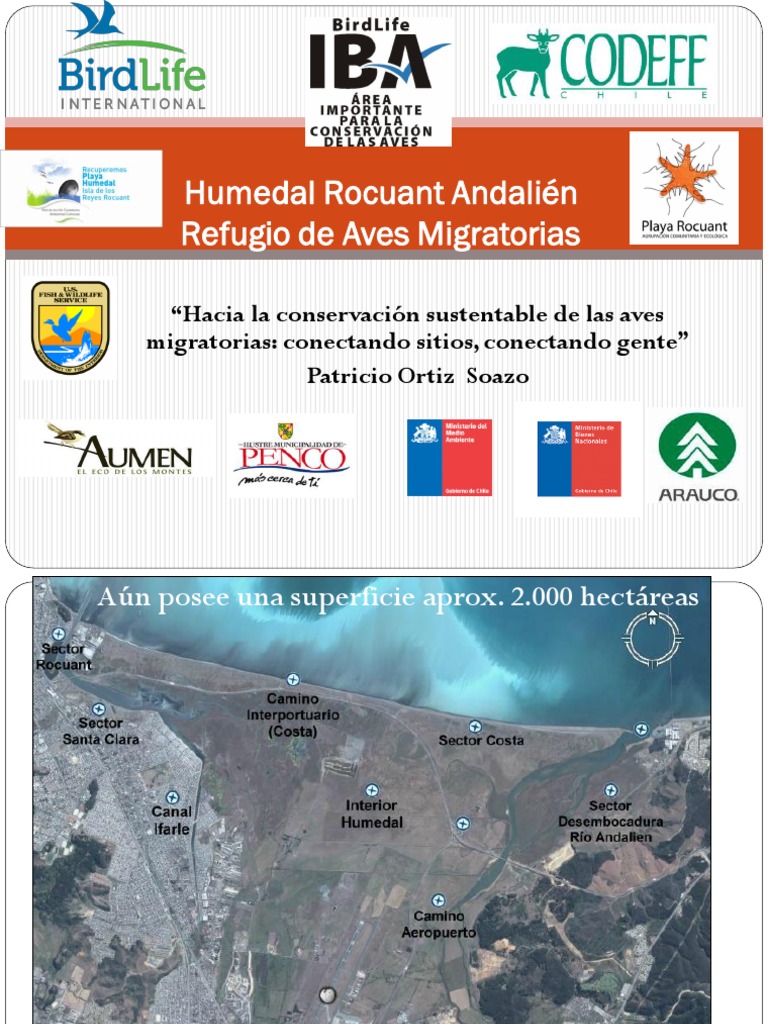 Refugio de Humedales PDF | PDF | Humedal | Aves