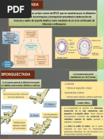 Cambios Modic Qué Son, Tipo y Diagnóstico InfoEspalda | PDF | Cirugía ...