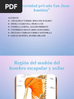 Región Axilar Resumen Prrre | PDF | Tórax | Anatomía humana