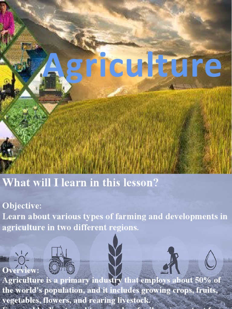 Class VIII Agriculture | PDF | Farms | Intensive Farming