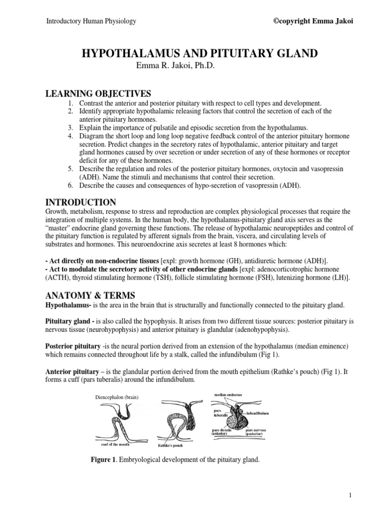 Phys 6.1 and 6.2 Ant Pituitary GH and Post Pituitary NOTES | PDF ...