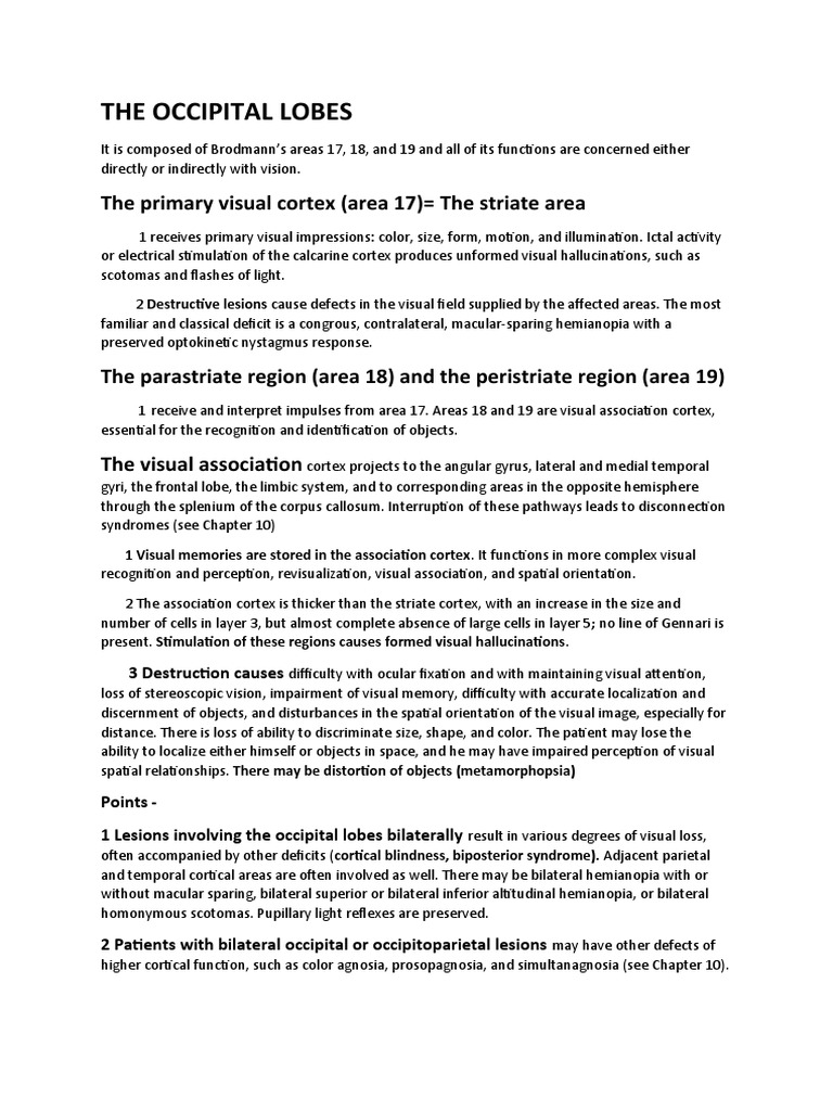 The Occipital Lobes: The Primary Visual Cortex (Area 17) The Striate ...