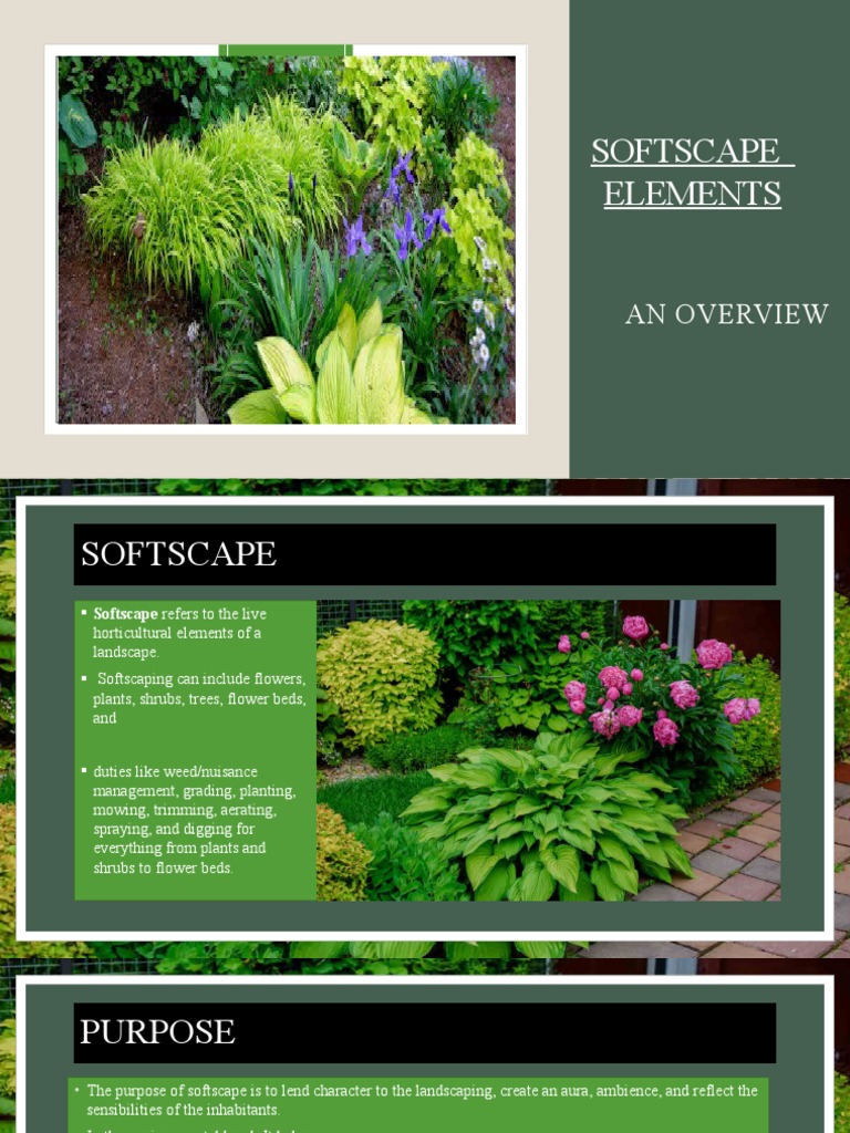 Softscape Elements | PDF | Mulch | Trees