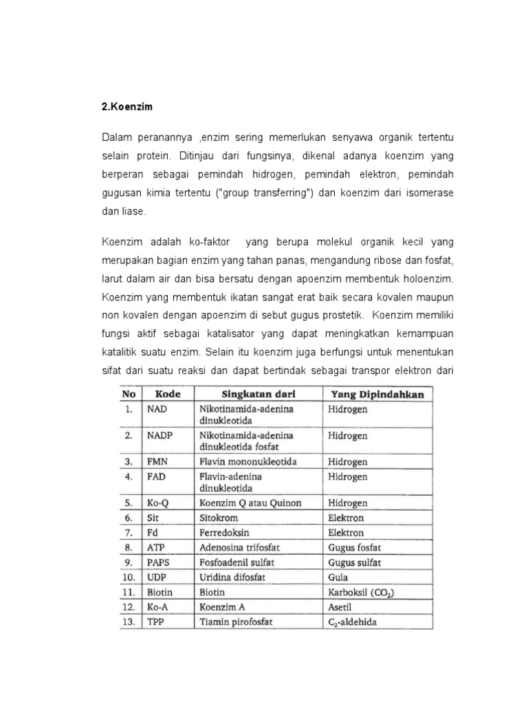 Koenzim | PDF