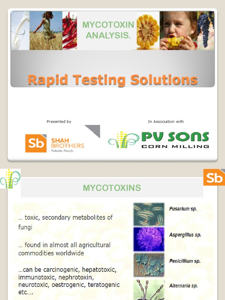 Presentation - For - Aflatoxin Testing | PDF