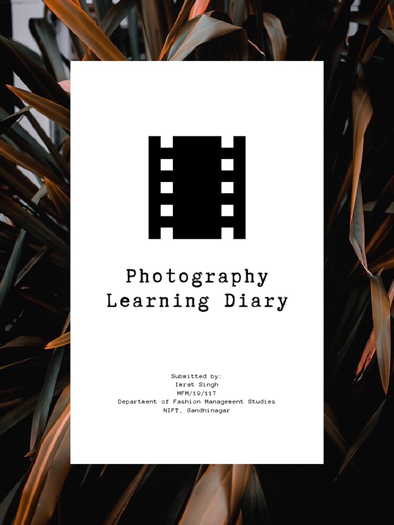 Photography Basics & Influential Photographers | PDF | Art Media | Imaging