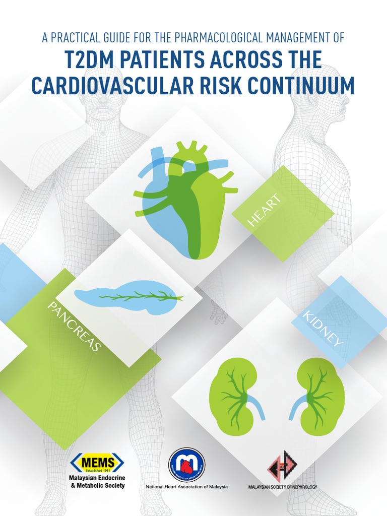 T2DM PracticalGuide 20190718 FA Ebook2 | PDF | Cardiovascular Diseases ...